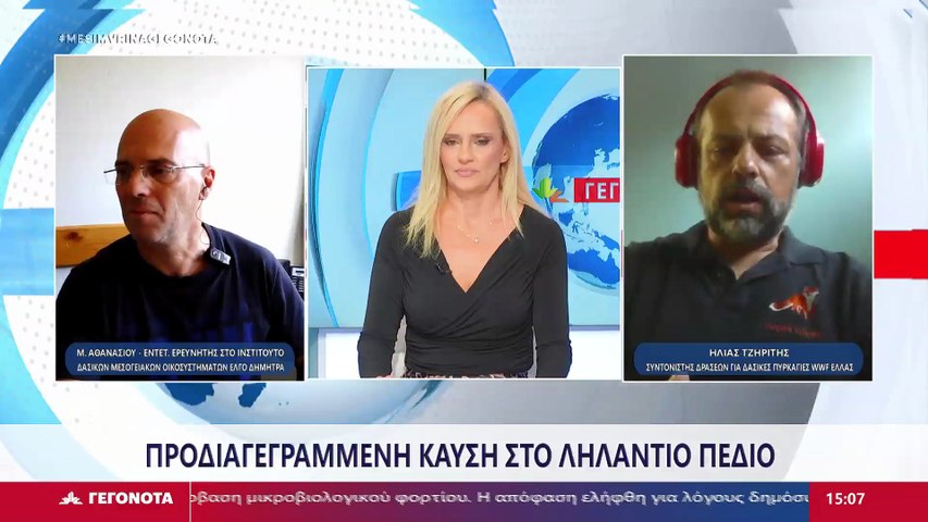 Ο Συντονιστής Δράσεων για δασικές πυρκαγιές WWF ΕΛΛΑΣ, Ηλίας Τζηρίτης ...